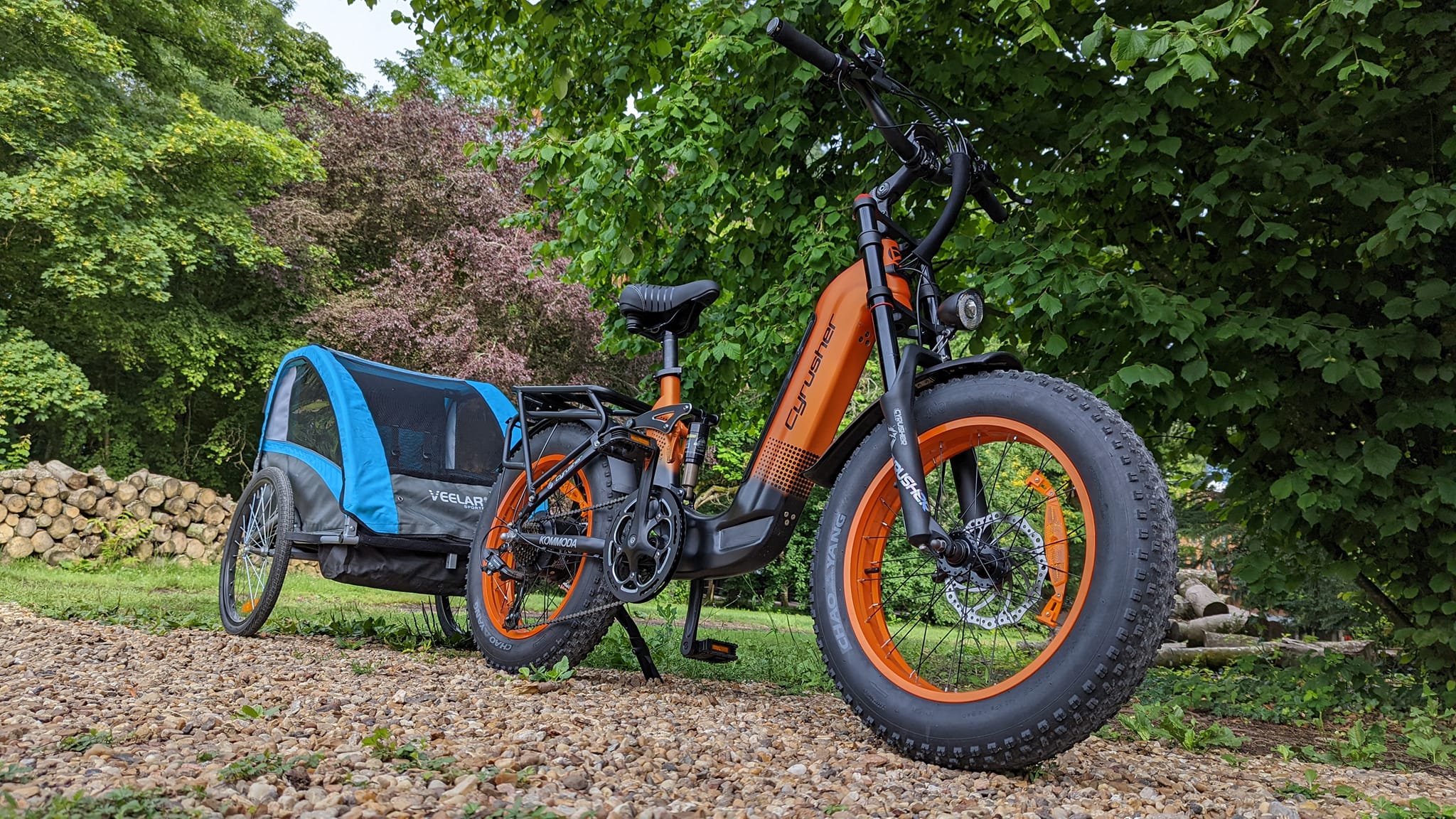 How to take your furry friend on an electric bike – Cyrusher E-Bikes