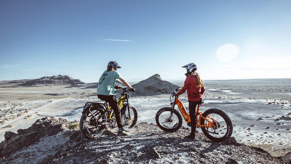 Ranger Mountain All Terrain Air shock Ebike